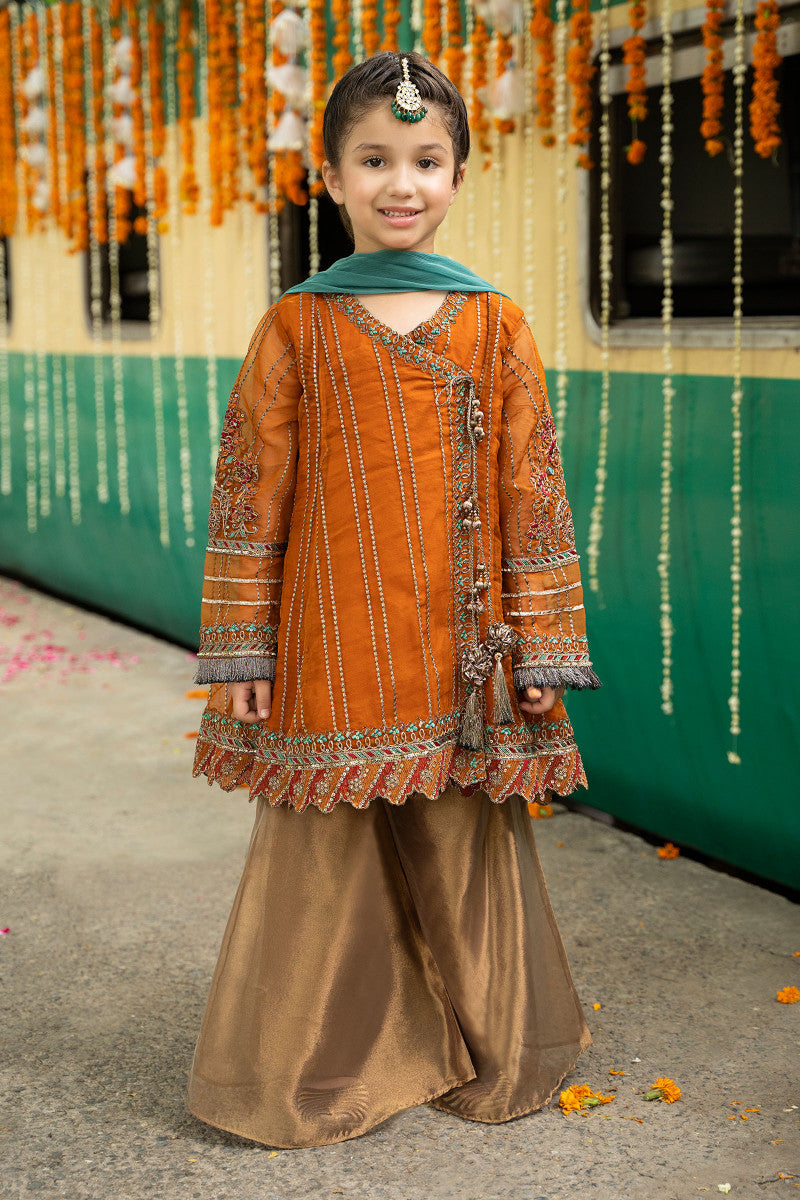 Suit Rust MKS-W22-10 – Maria.B. Designs (AE)